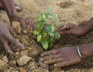 Who We Are - Earth Focus