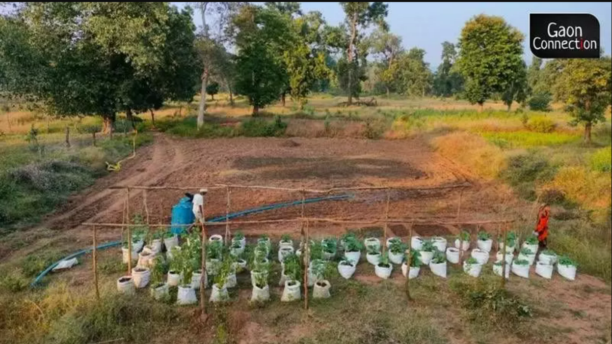 Earth Focus Featured in Gaon Connection - Earth Focus